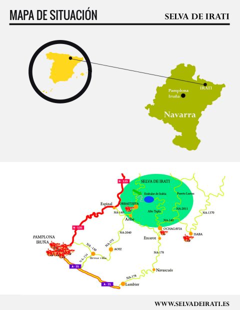 COMO LLEGAR - SELVA DE IRATI